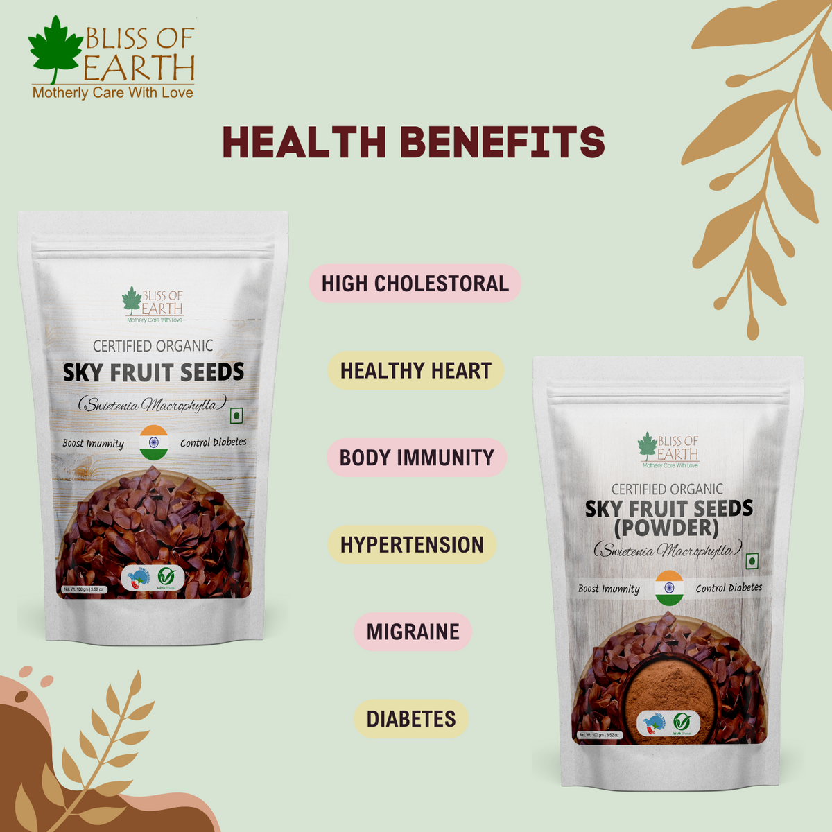 Sky Fruit Seeds, Swietenia Macrophylla, Mahogany Seeds, Kadwa Badam 20